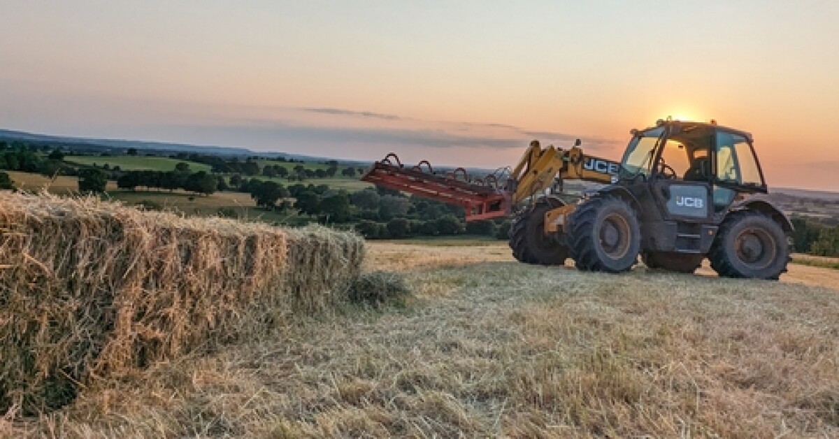 Small Hay bales for sale. Dorset, Somerset and Wiltshire